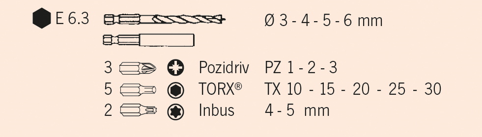 Bohrer-Bitsatz E 6.3 Bit-Aufnahme 15-tlg. | 146873 🔩 frantos.com